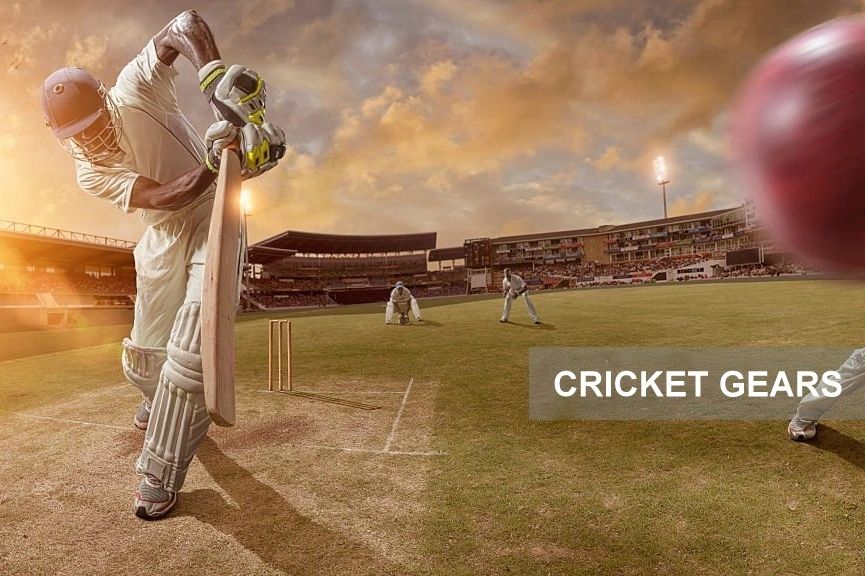 Cricket Boundary Wedges Toblerone cushion Online