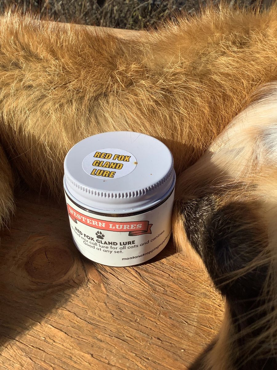 WESTERN LURE'S RED FOX GLAND LURE 2 OZ.