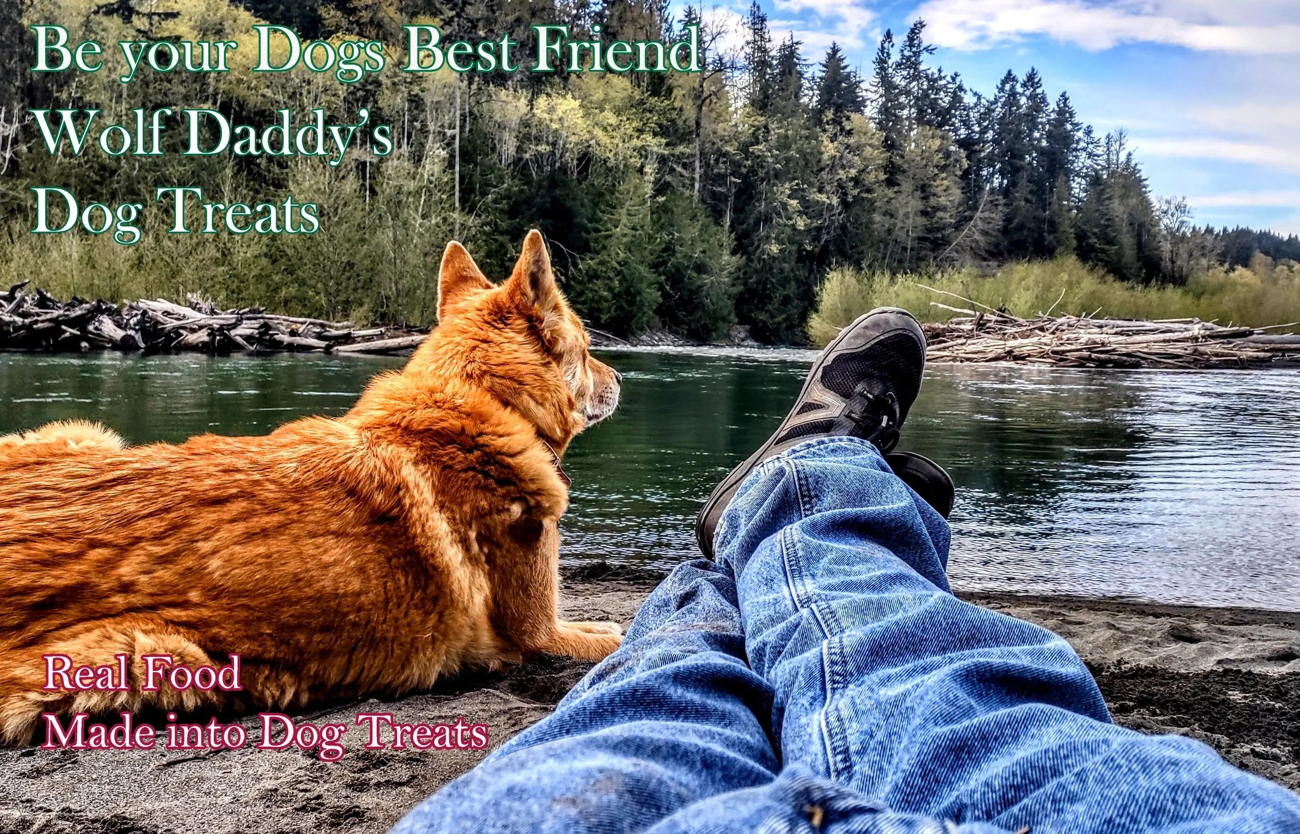 Discover Unique Wolf Items and Nutritious Treats for your Beloved Dogs