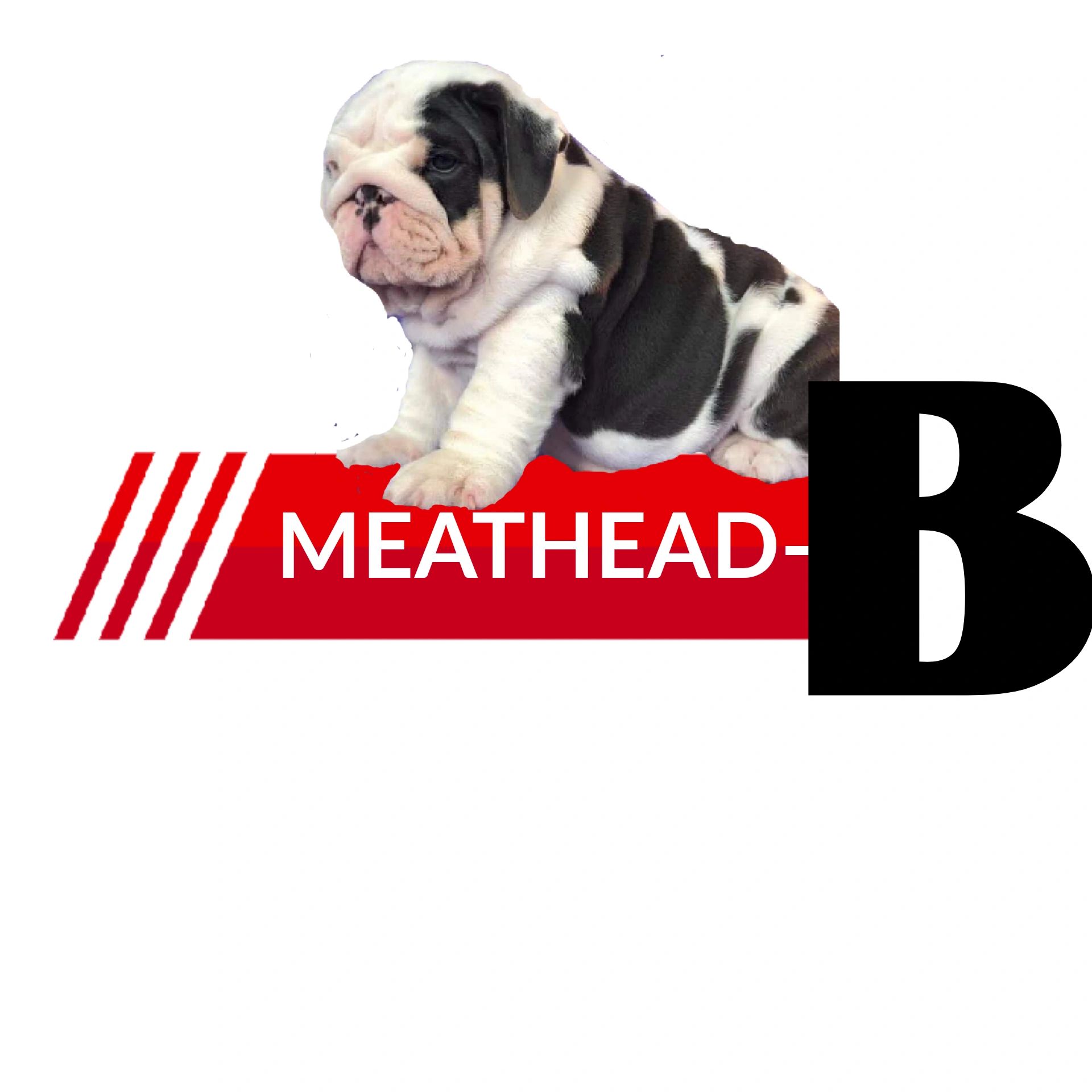 Meathead-bullies
