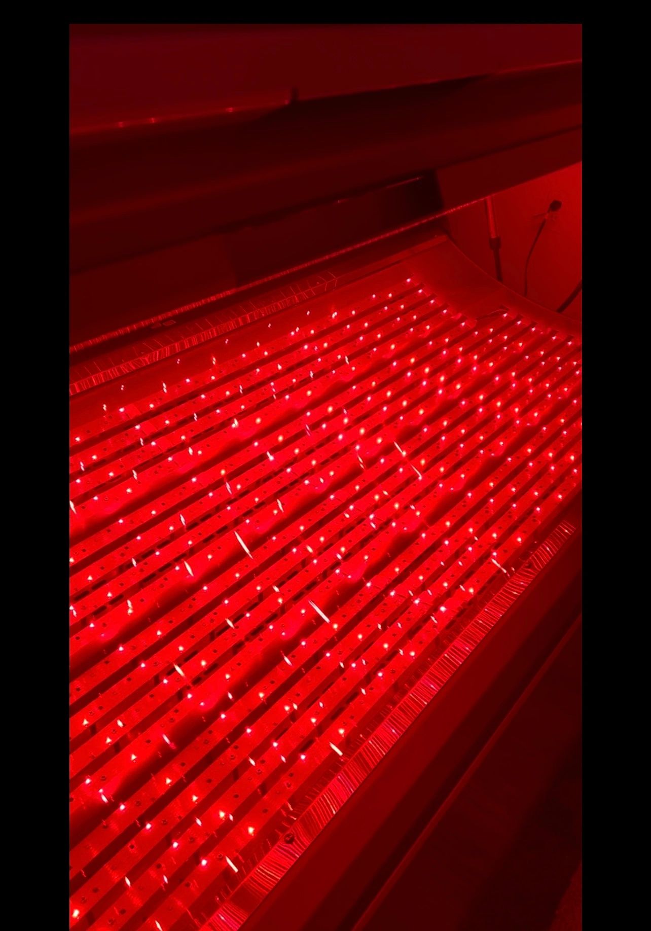 Rejuvenate Your Skin and Body with ARRC LED Red Light Therapy