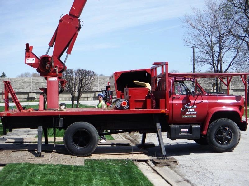 Johnson Tree Service Inc. - Tree Experts, Professional Tree Care