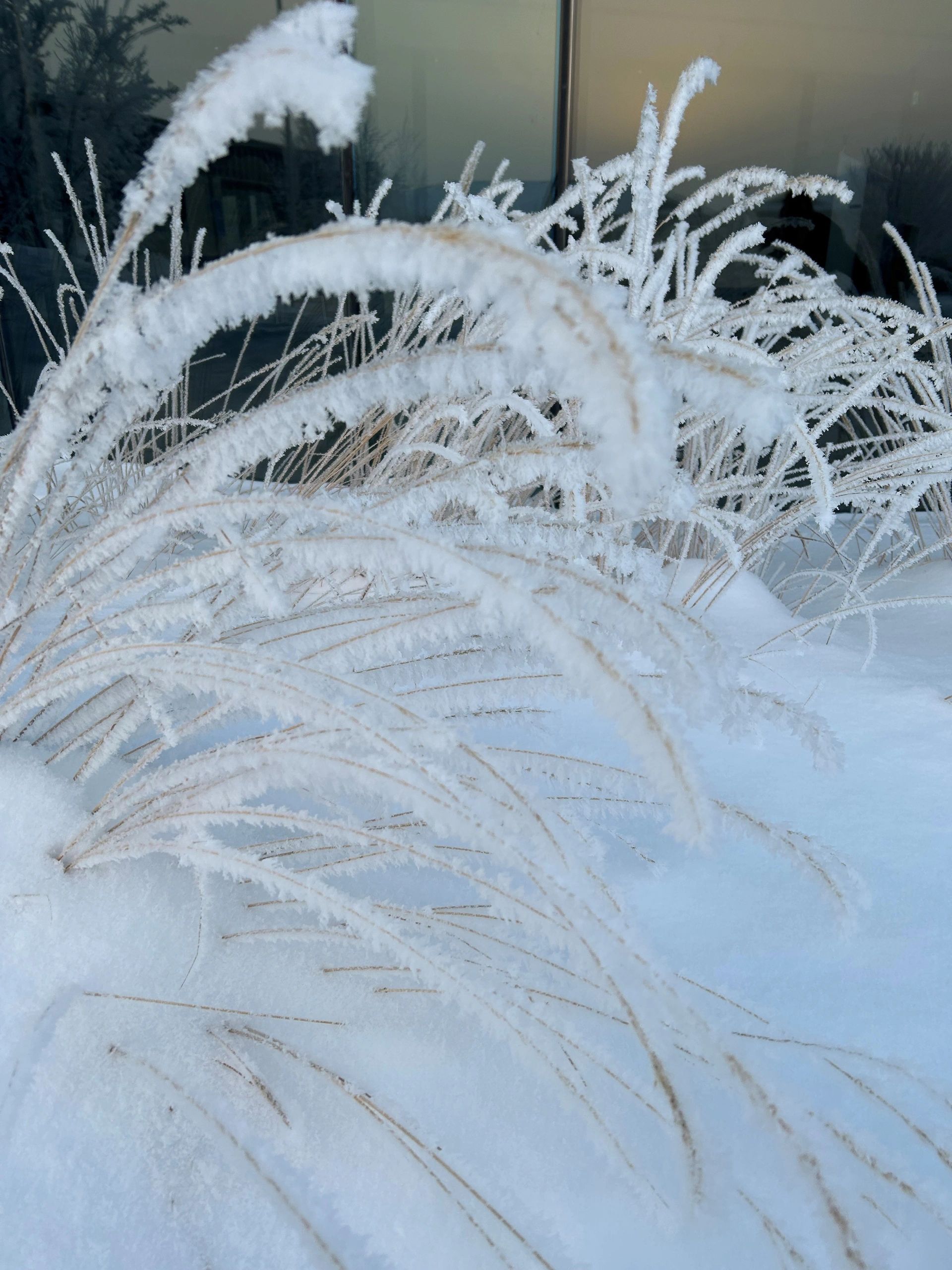 Gaynor Family Regional Library