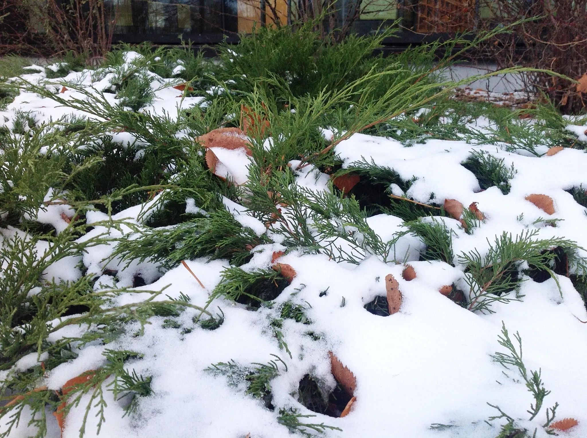 Gaynor Family Regional Library
