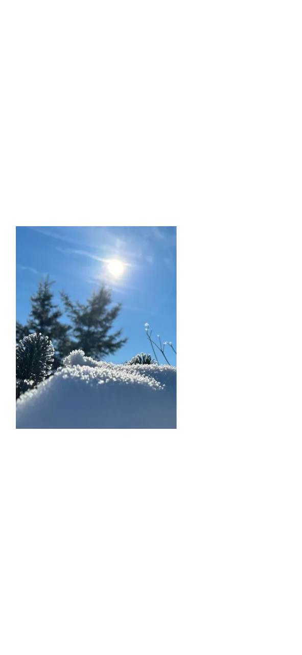 Gaynor Family Regional Library