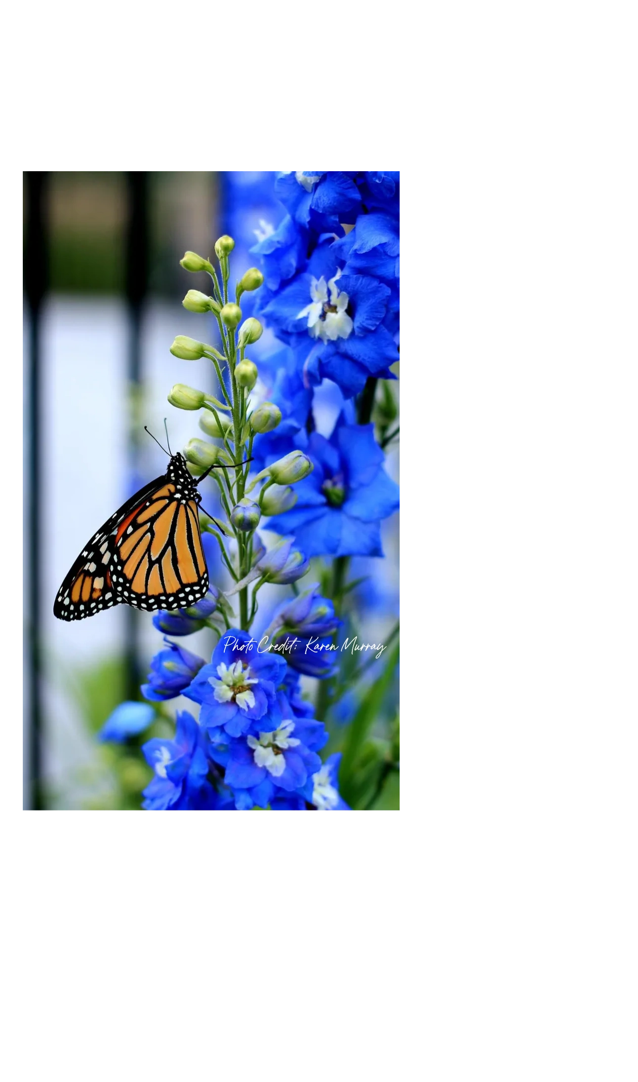 Gaynor Family Regional Library