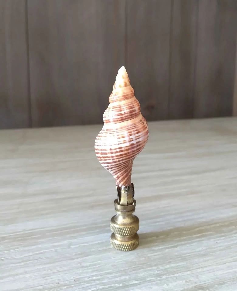 Nautical Sea Shell Lamp Shade Finial with Brass Base