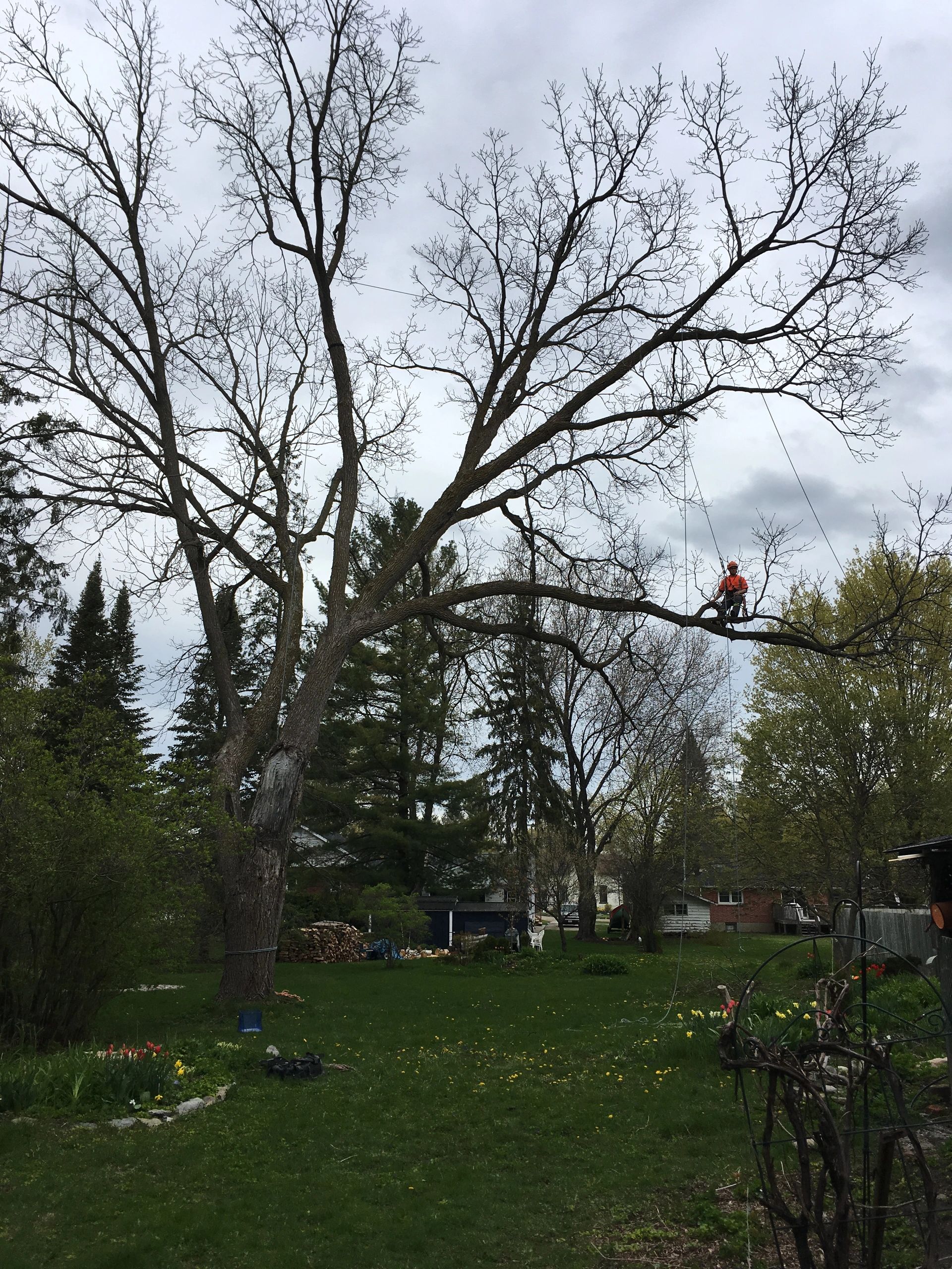 Greenstone Tree Service