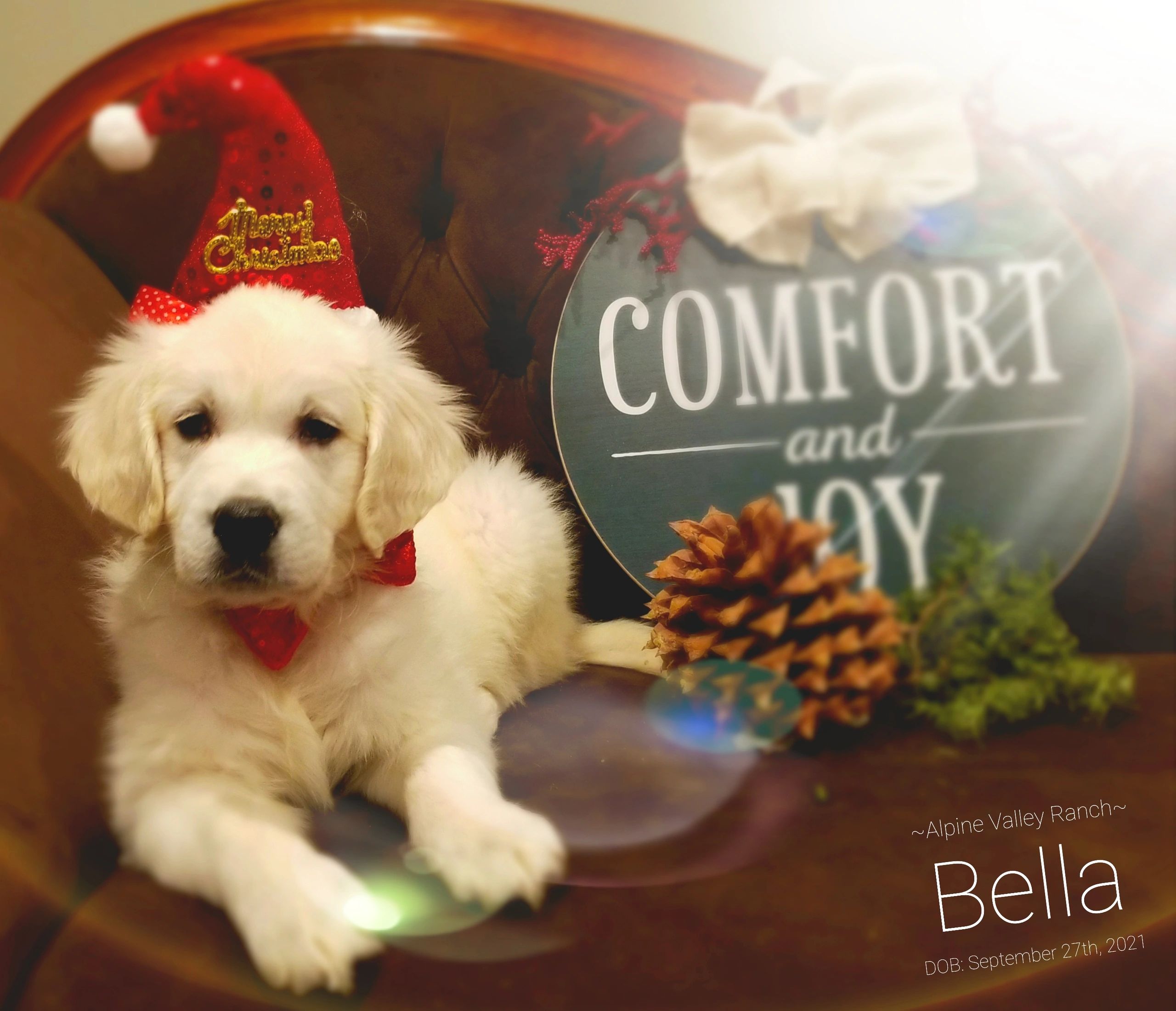 Alpine L Valley Ranch