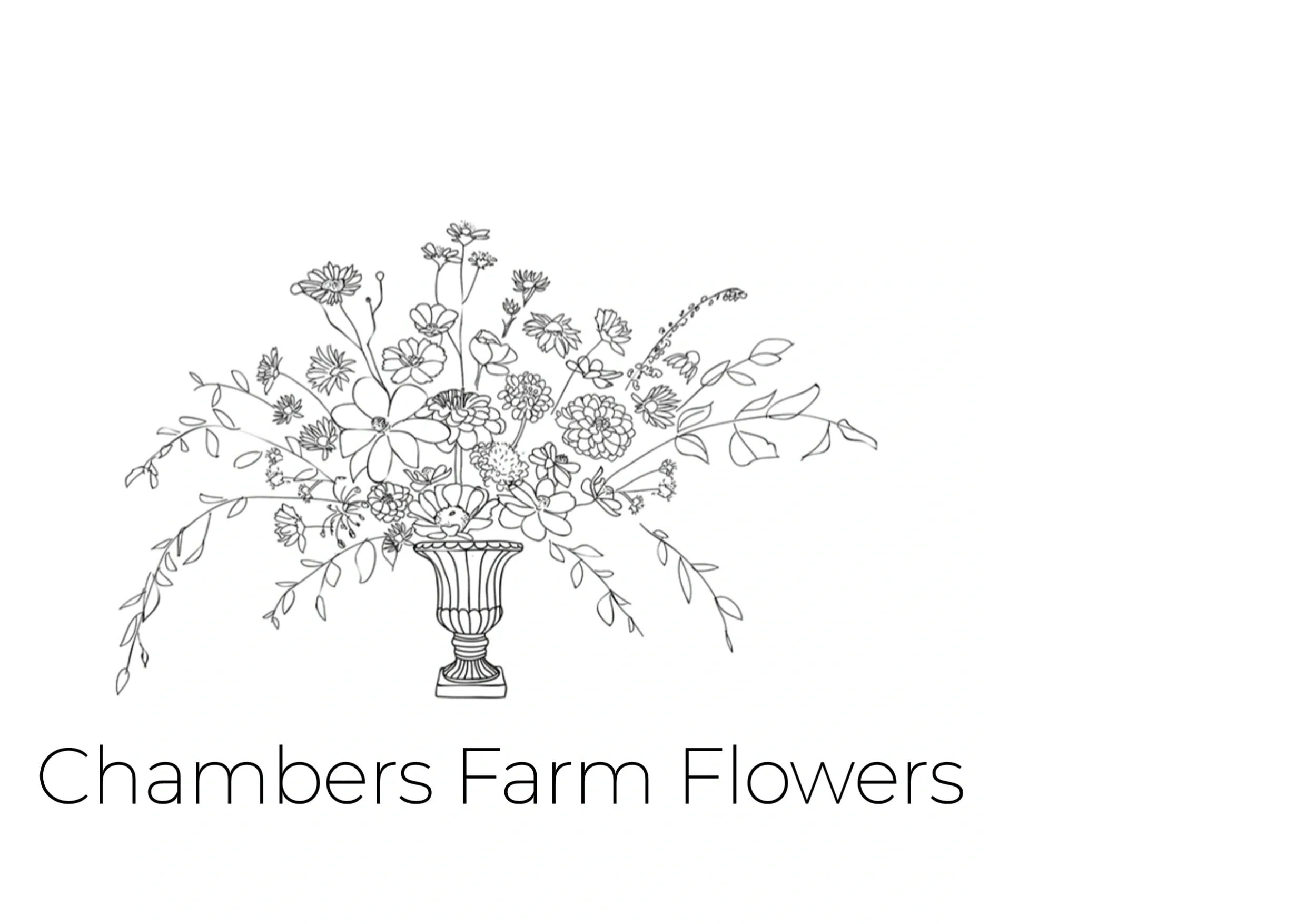 PYO Flowers | Chambers Farm Flowers