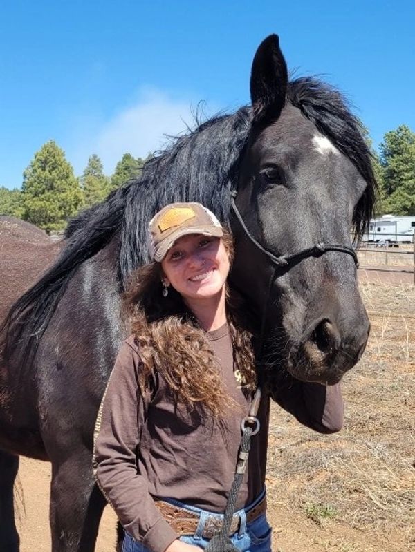 Horse Riding Lessons - Northern Arizona Riding Stables