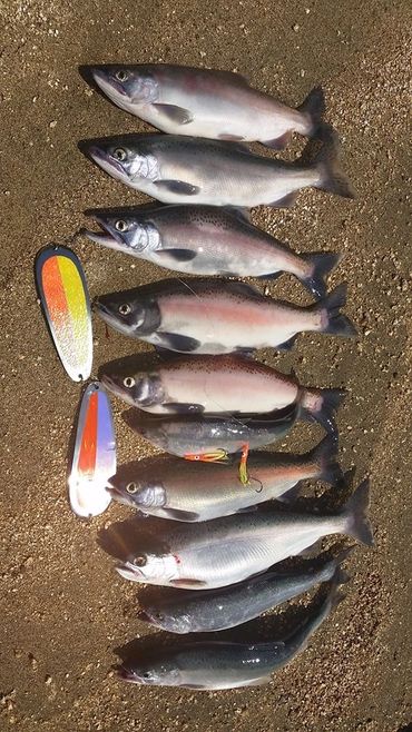 Custom Fishing Tackle - RB Tackle