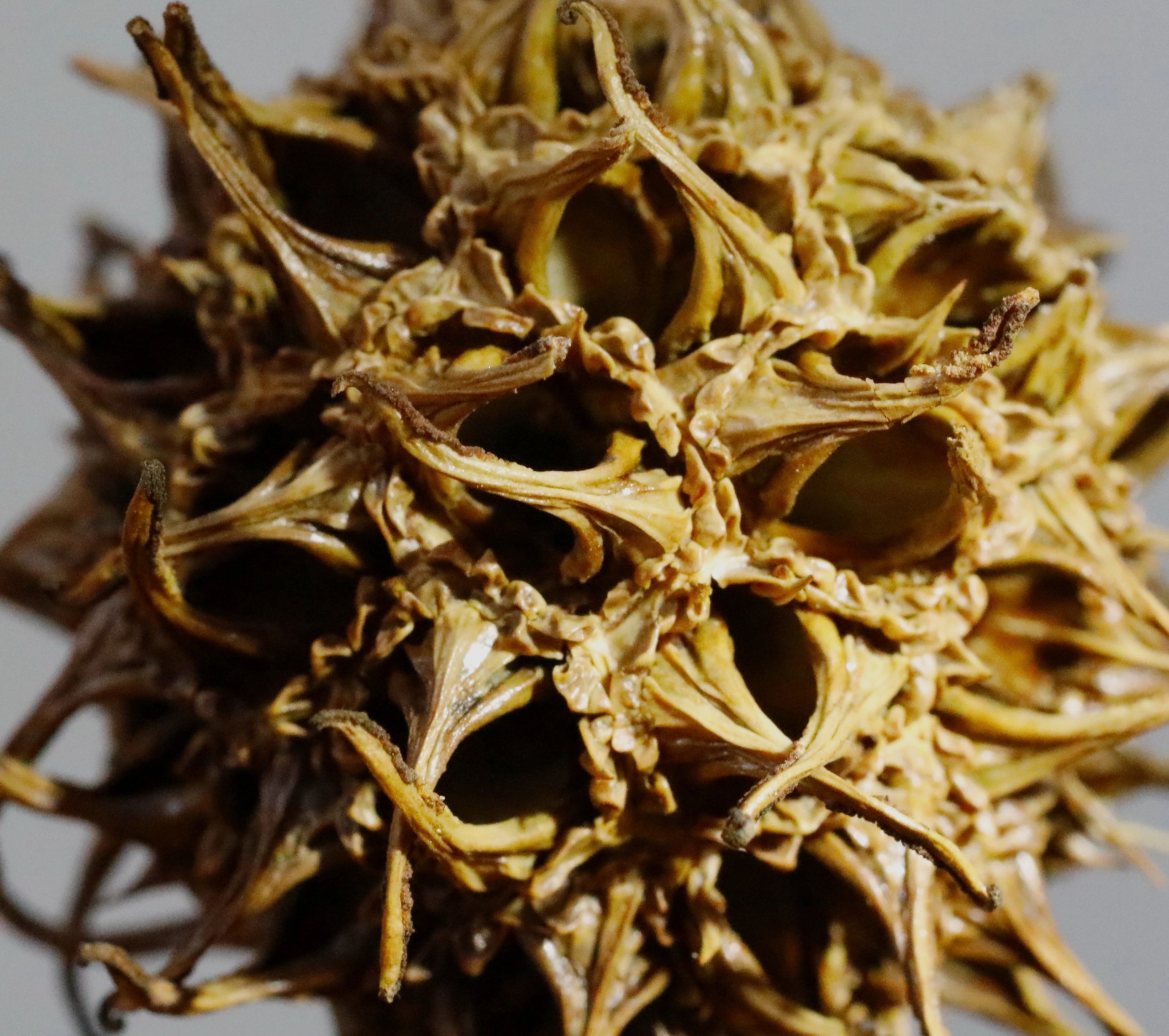 Tabletop Studio Macro--Part One