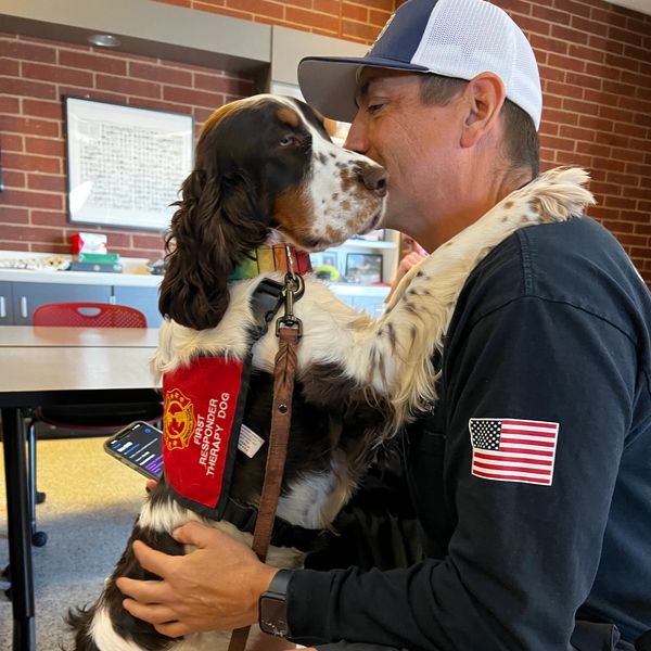 First Responder Therapy Dogs - Trained Therapy Dog, First Responder ...