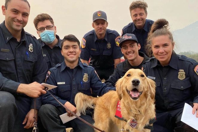 First Responder Therapy Dogs - Home