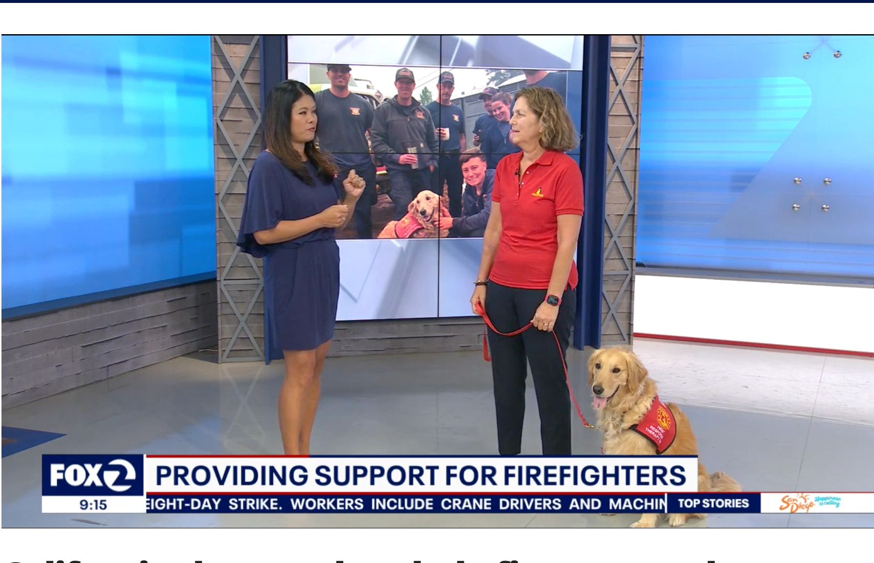 KTVU - Therapy dogs help first responders through stressful
