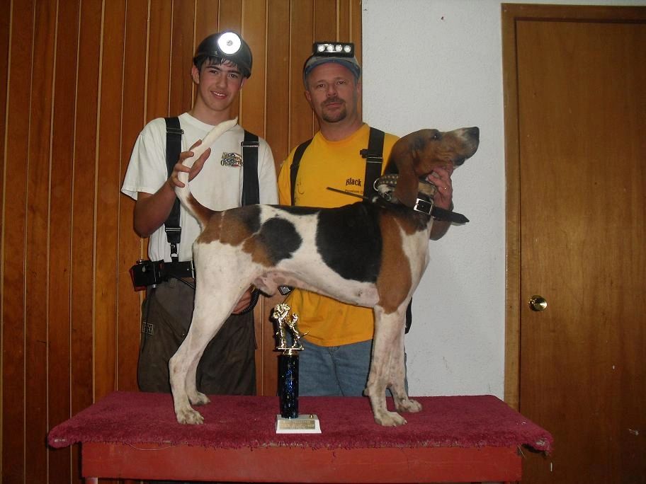 Grand American Coon Hunt