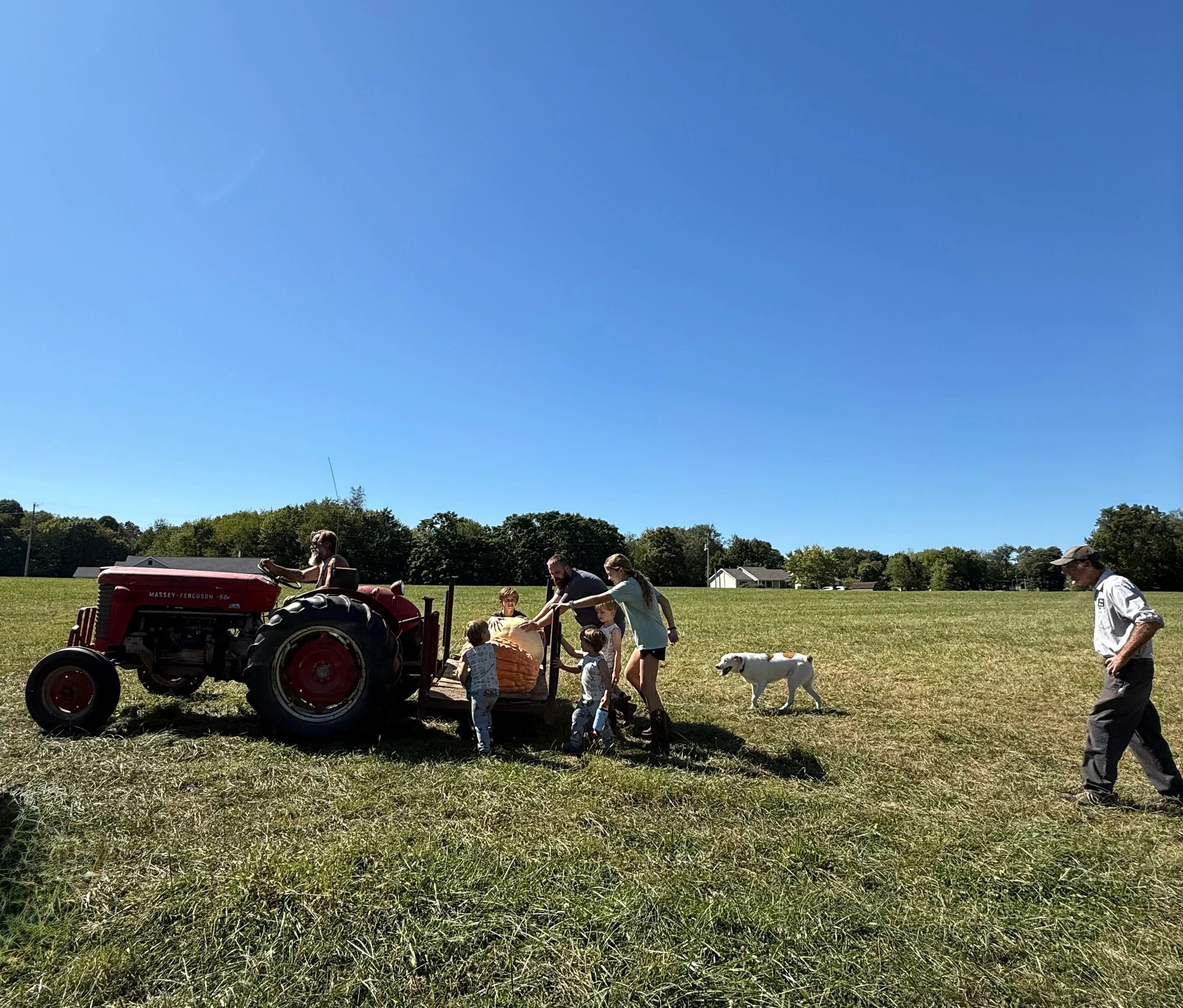 Little Giant Farms