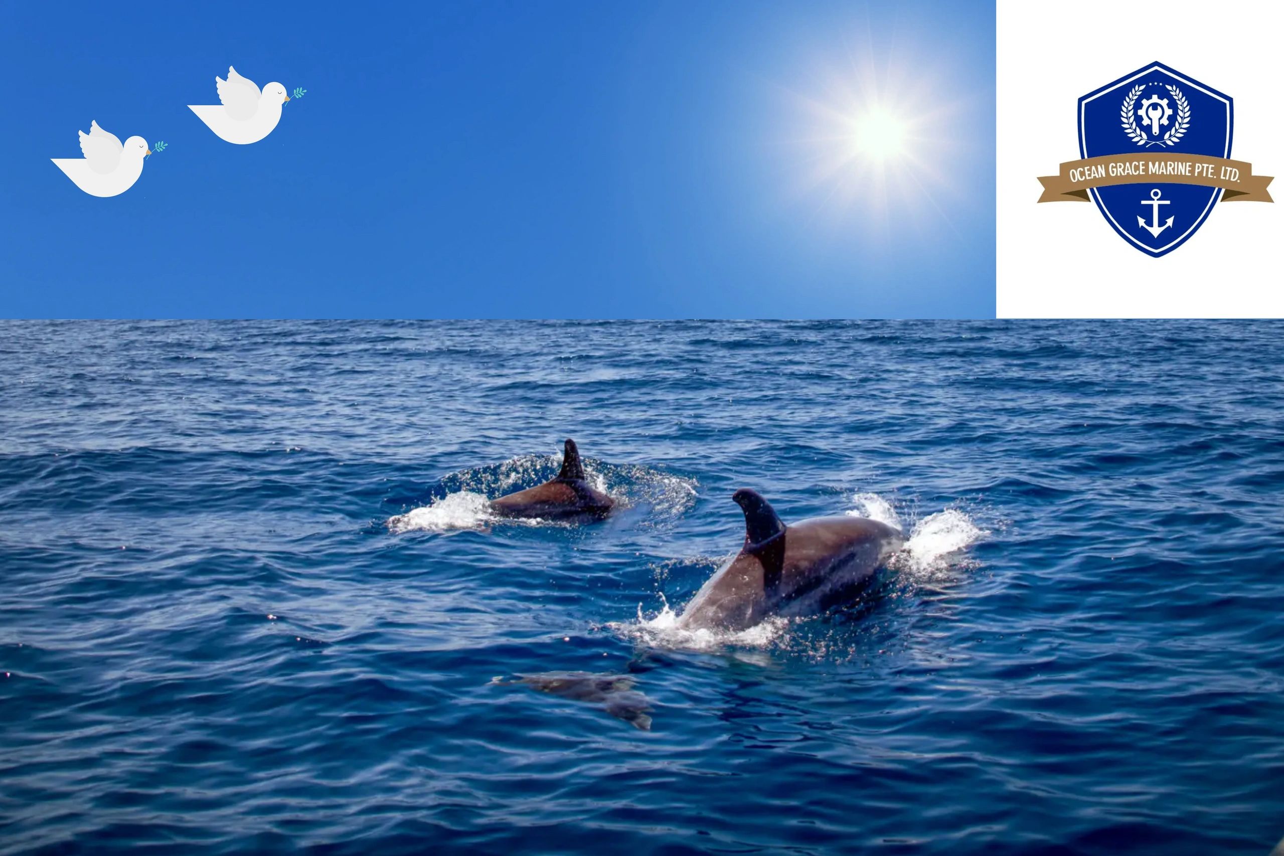 OCEAN GRACE MARINE PTE. LTD.