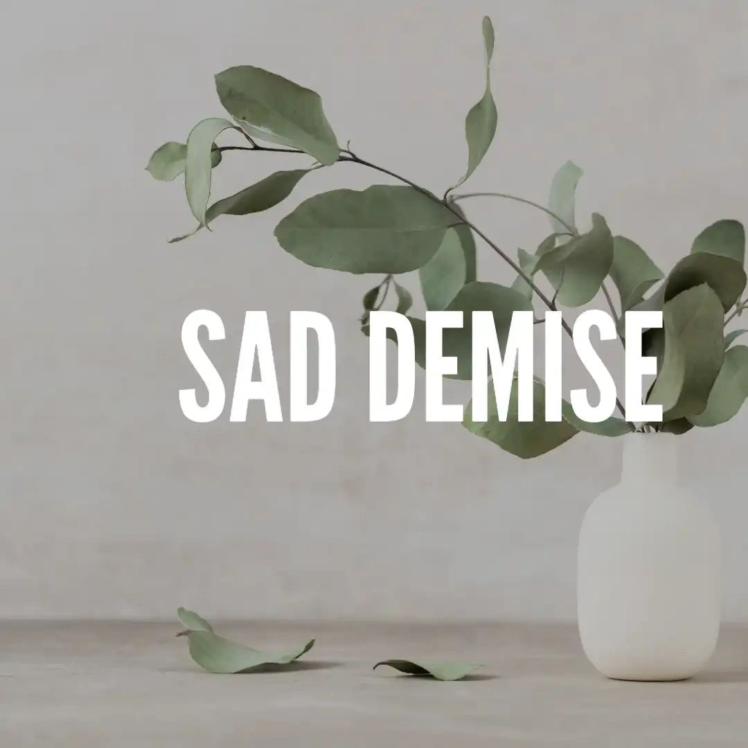 SAD DEMISE