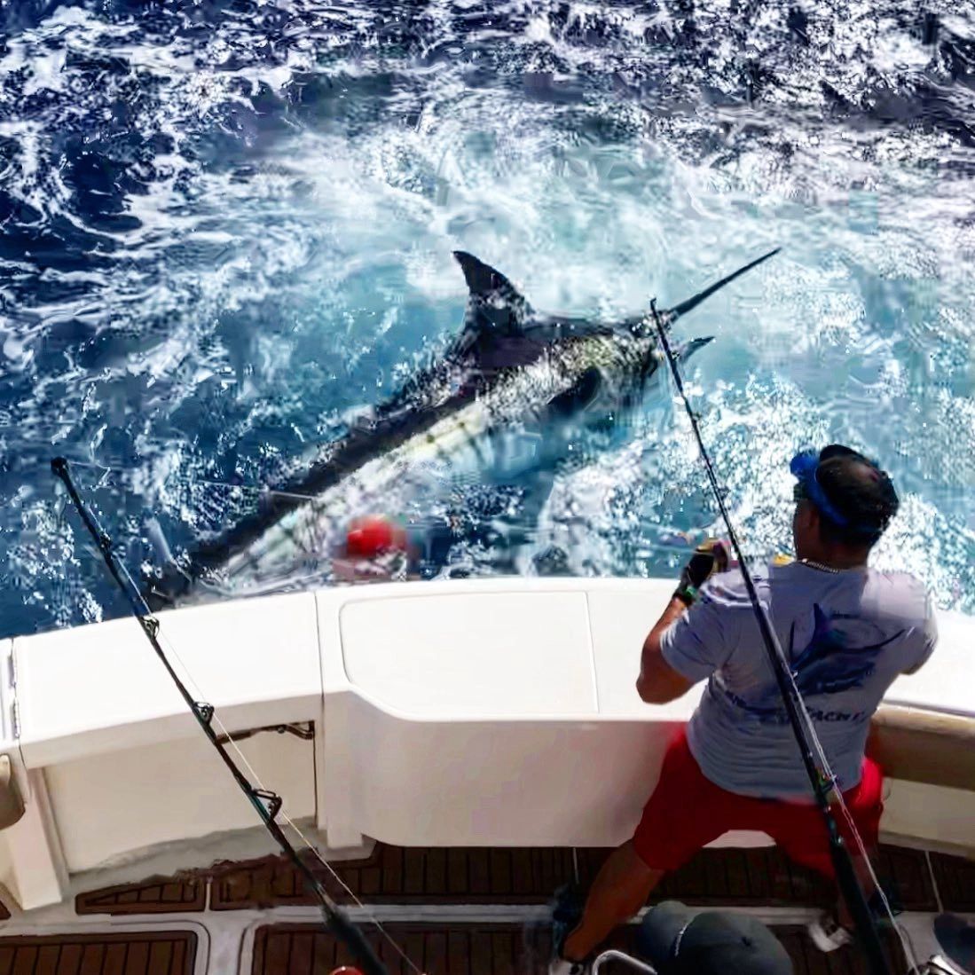 ATLANTIC BLUE MARLIN