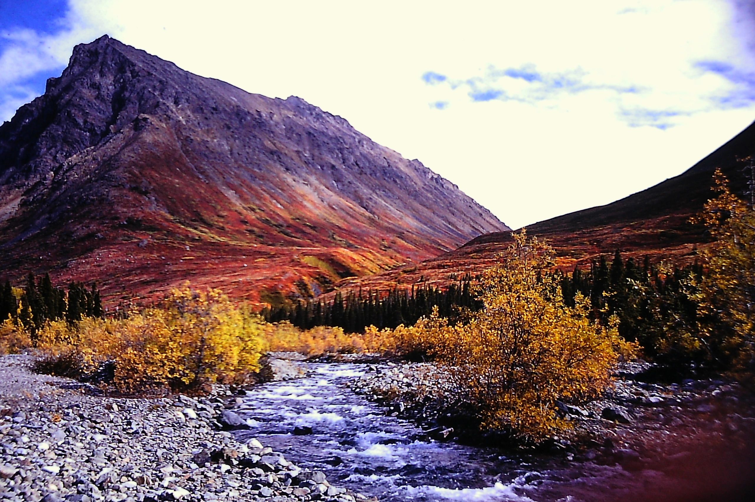 The Richard Proenneke Store