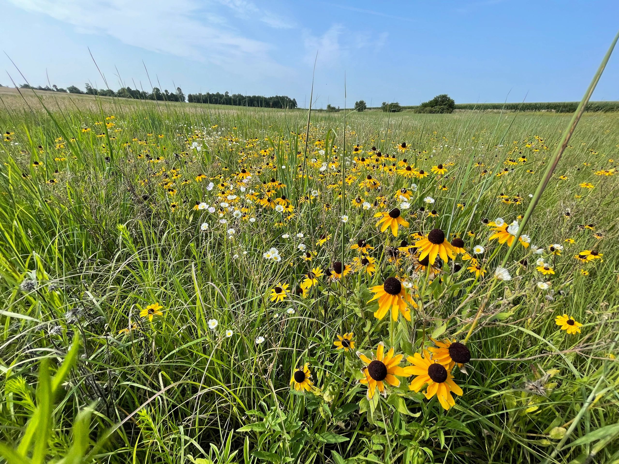 Rob Michaelson Gallery