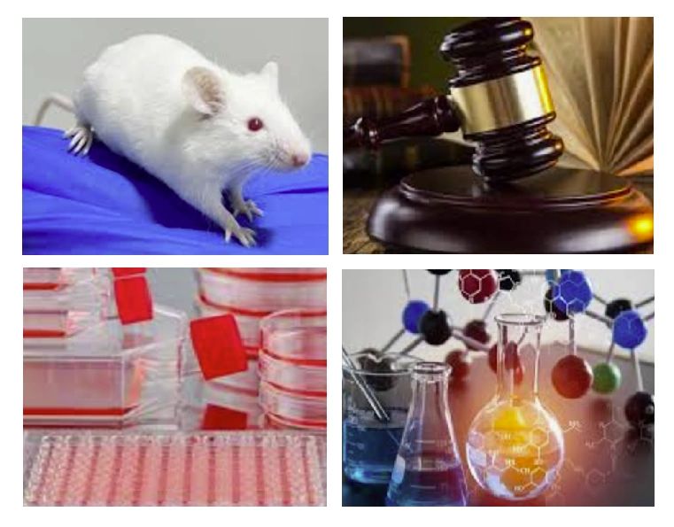 ABC Tox - Toxicology Lab, Regulatory Toxicology, Toxicologist