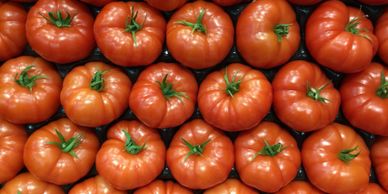 NOVAGRIM - Importateur, Fruit, Legumes | NOVAGRIM