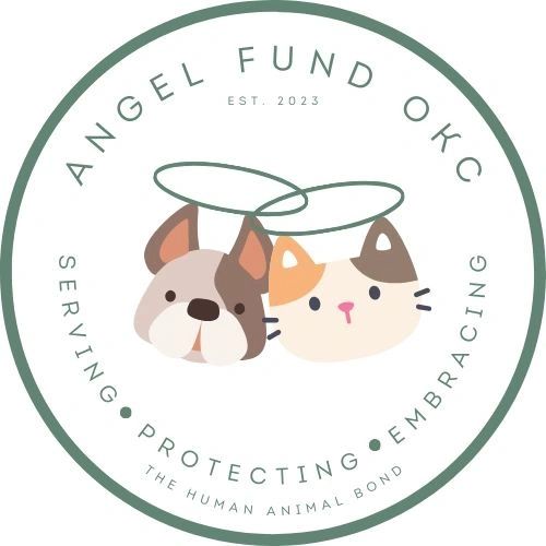Online payment @ Angel Fund OKC
