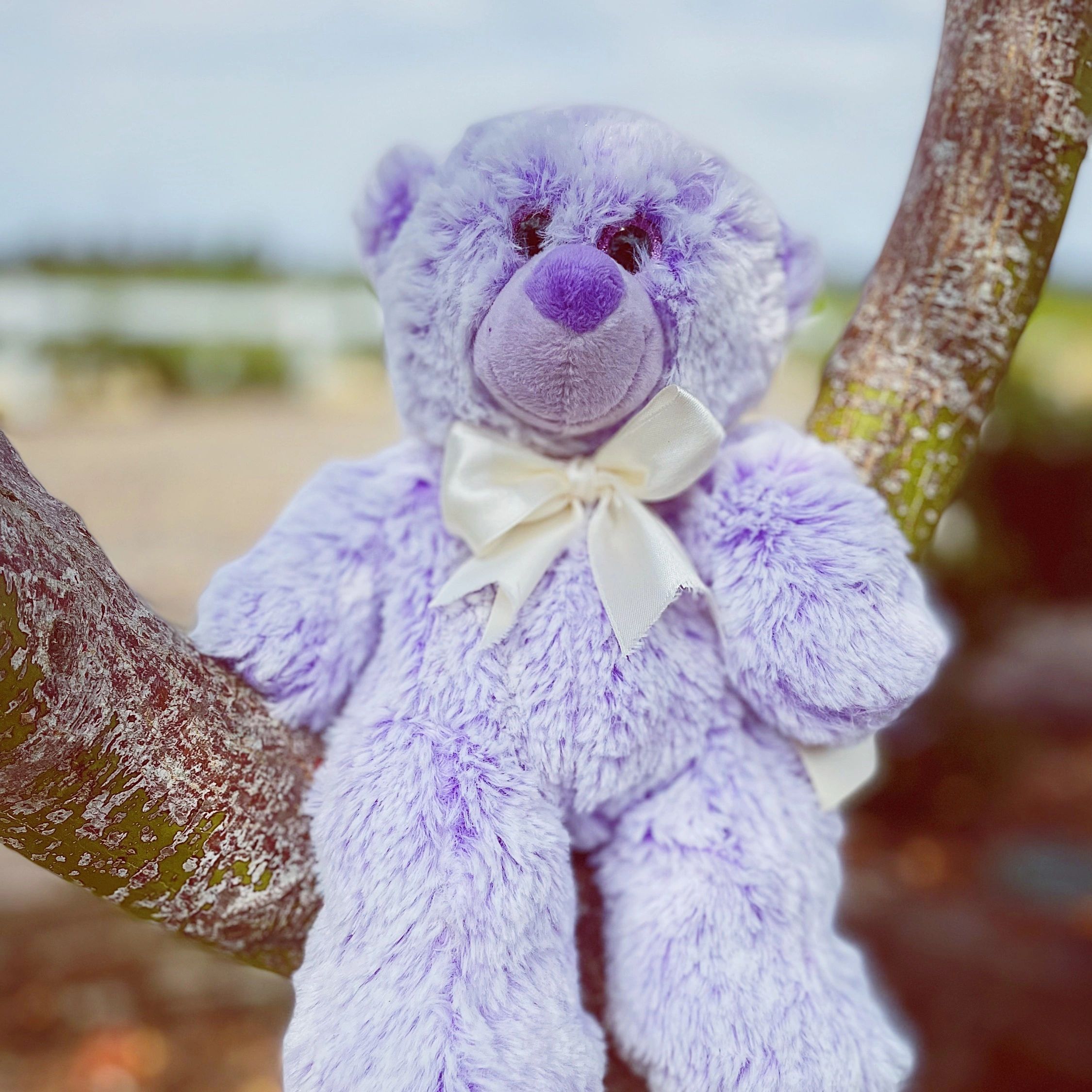 Make a Lavender Teddy Bear Workshop