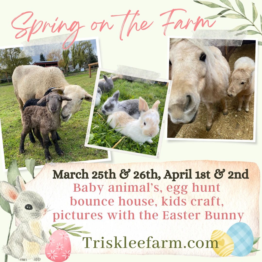 Spring On the Farm Weekend Event