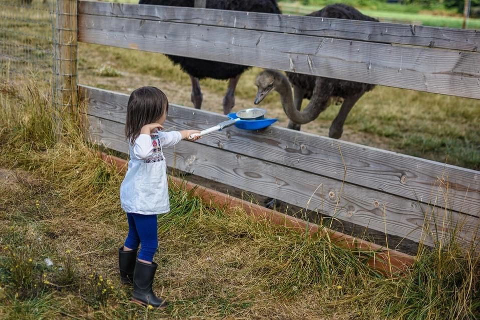 Spring Break weekday Farm Tour