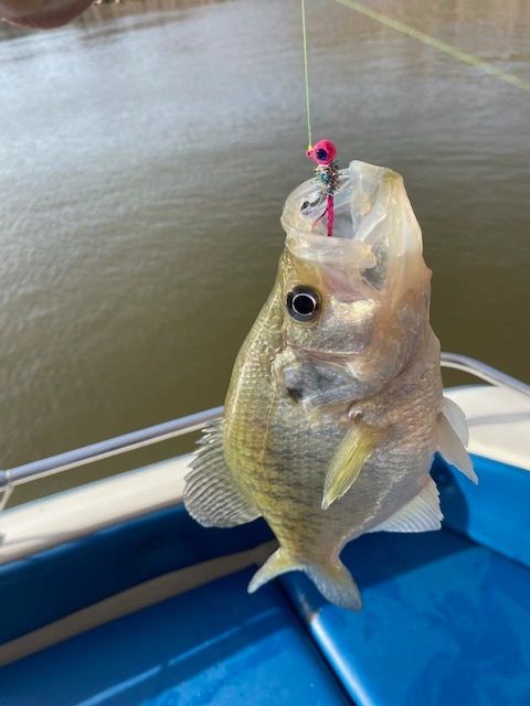 Top Crappie Fishing Gear - Quality Jig Heads & Jigs