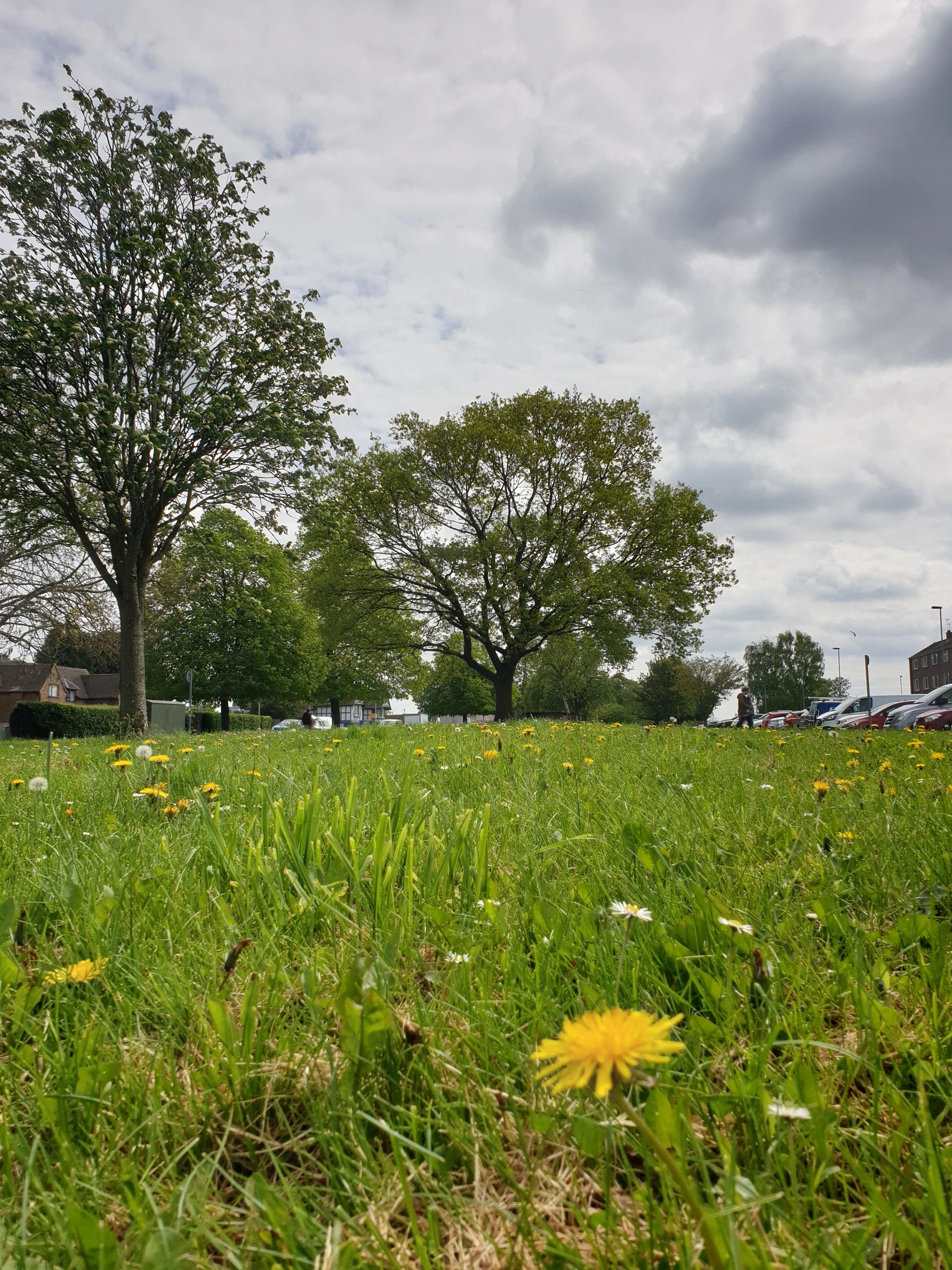 Rising Brook Ground Force
