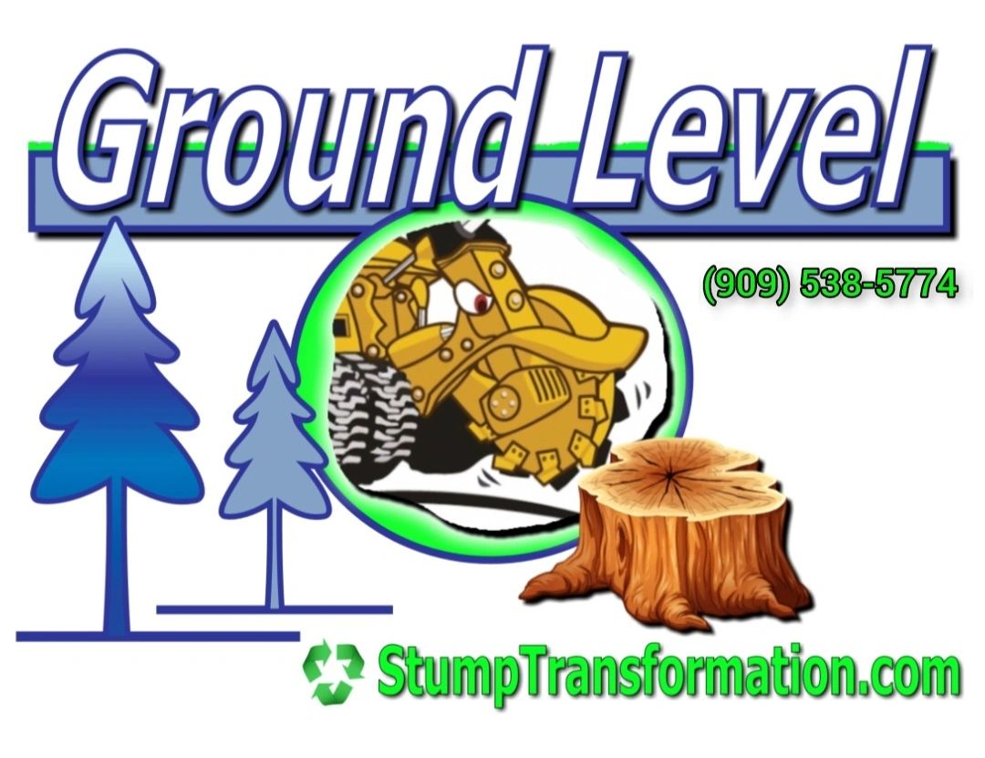 Ground Level Enterprises, Inc.