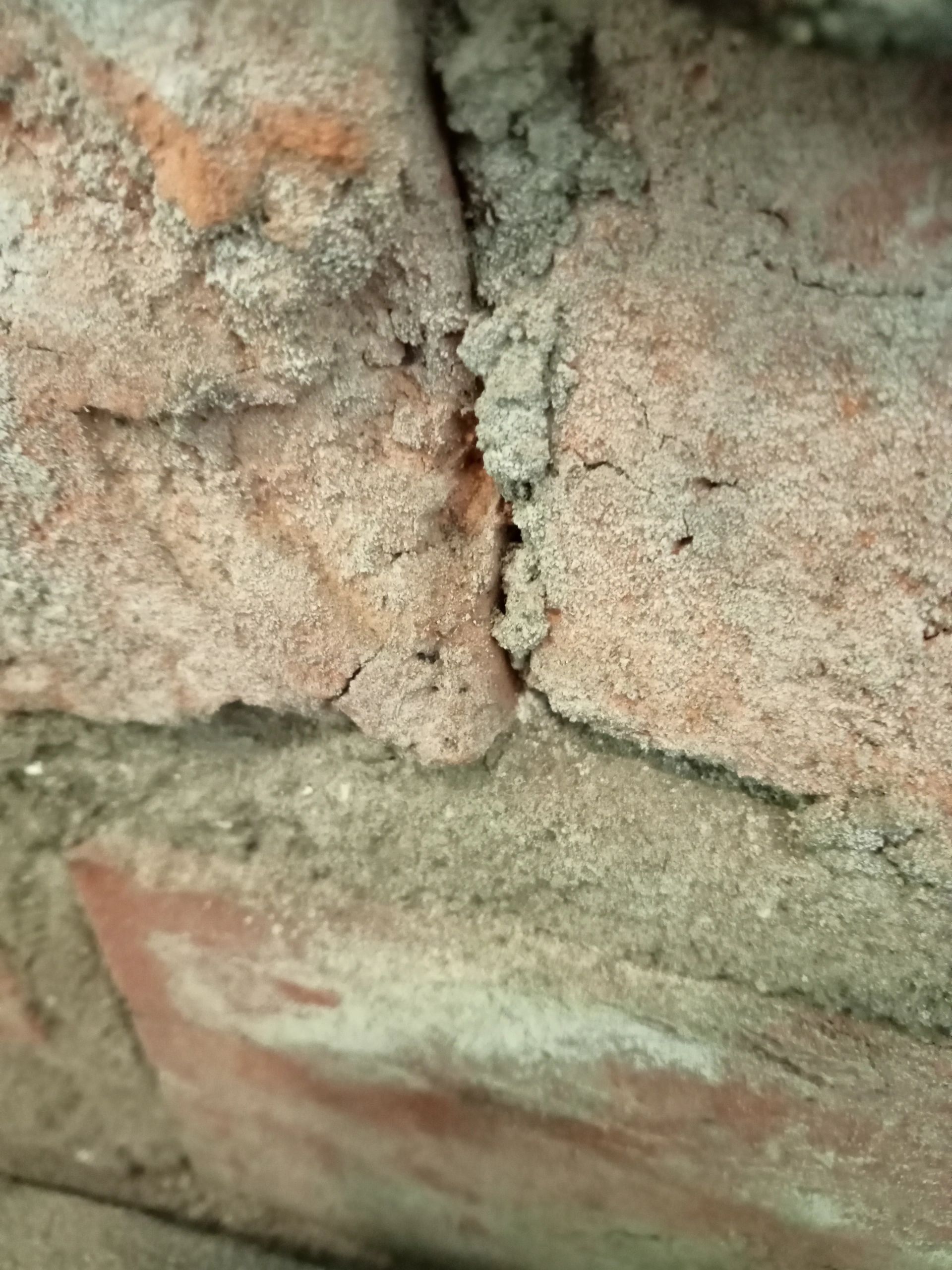 The Damp Detective - Rising Damp Treatment, Rising Damp Inspections