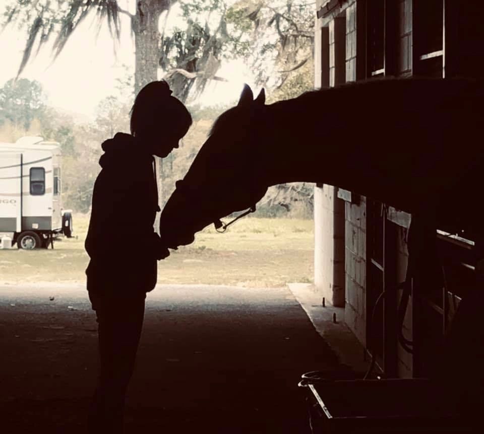 Home | Horse Riding School at Ballinode Run Stables