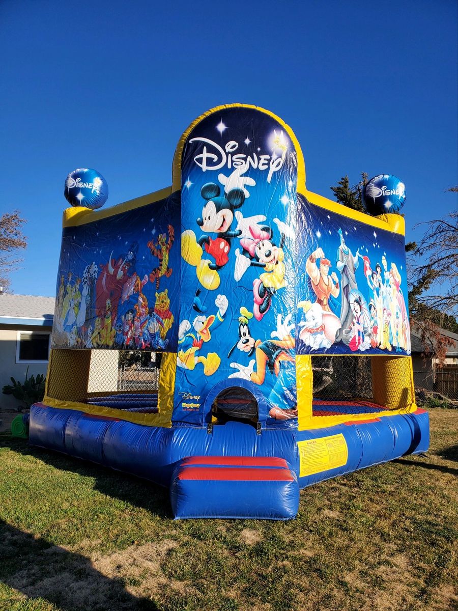 Disney Classics Hexagon Bouncer
