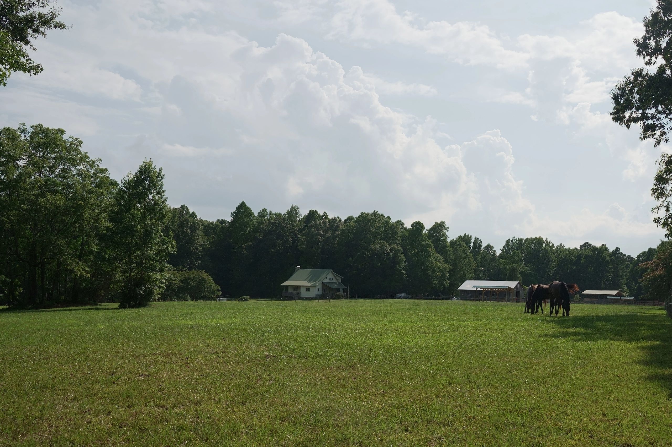 Who We Are | Absolute Farm