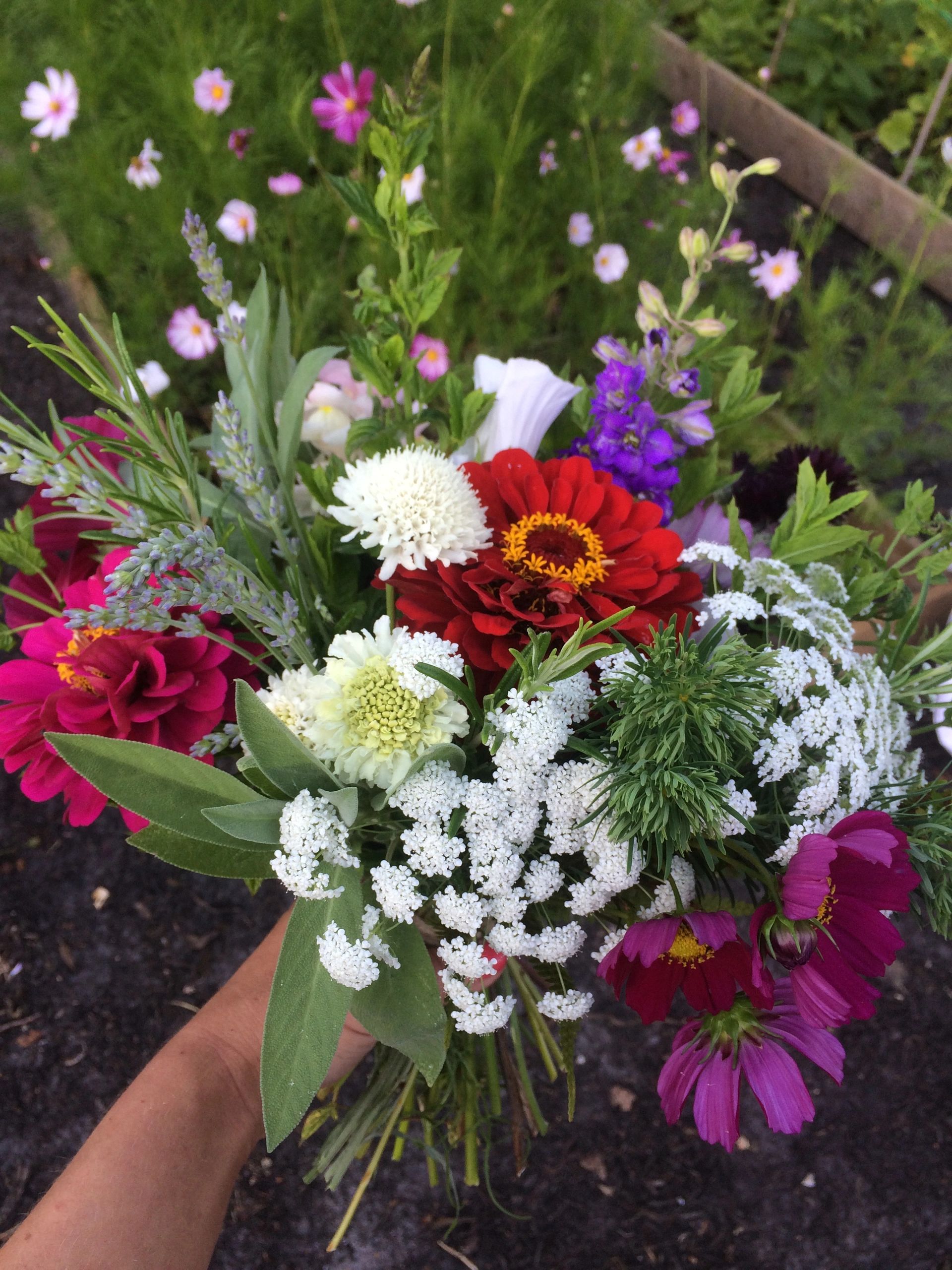 The Slow Flowers Movement & my Journey to Florist Farming...