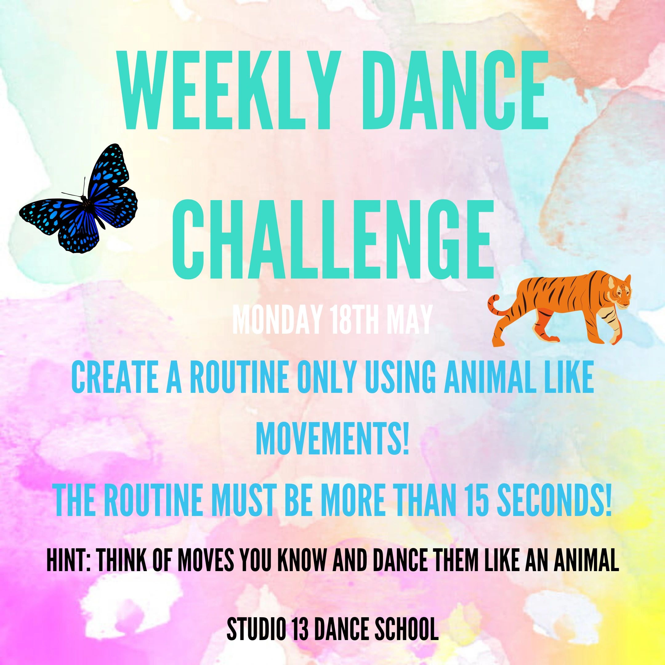 Studio 13 Dance School