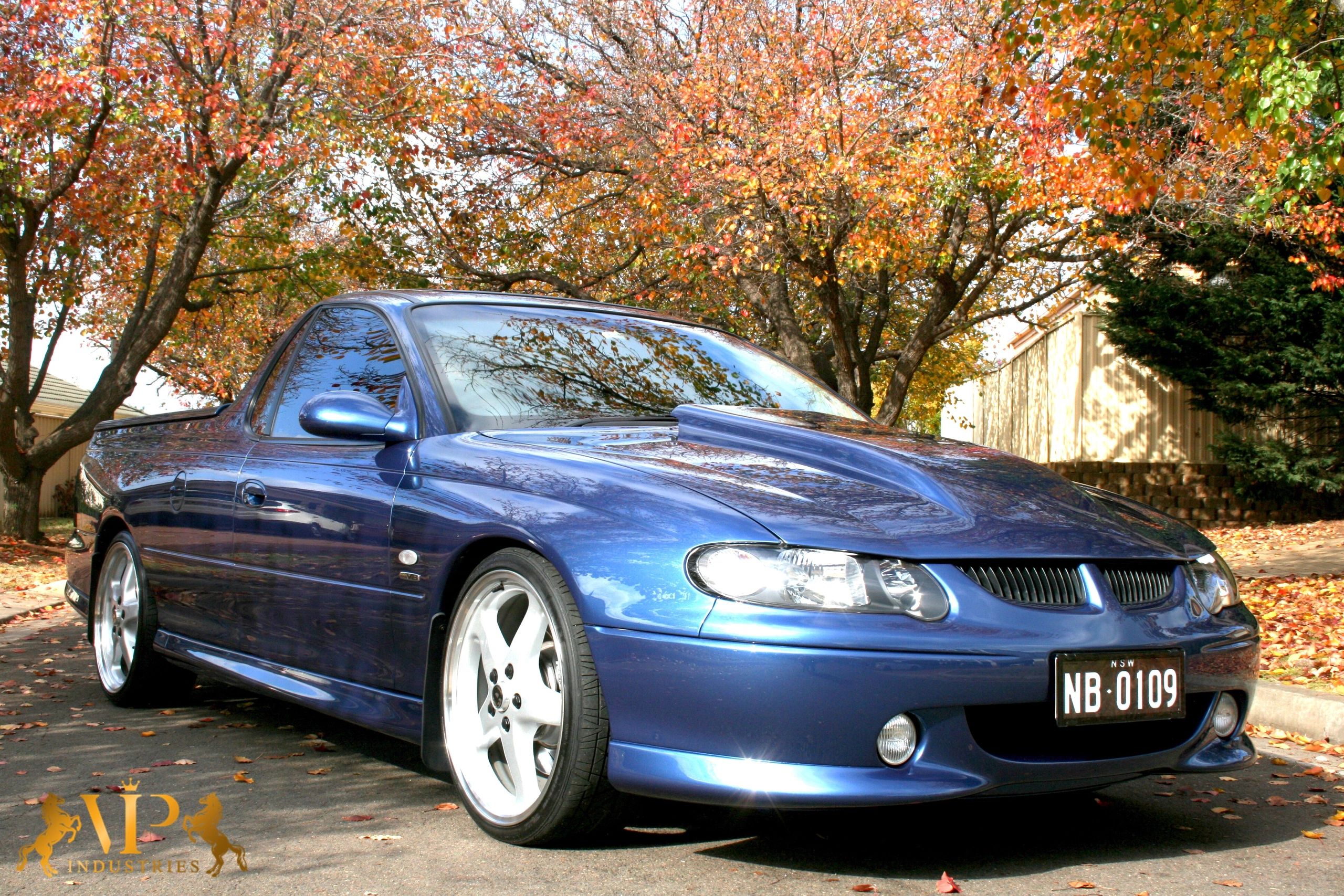 VH-VL Commodore | savage custom bonnets