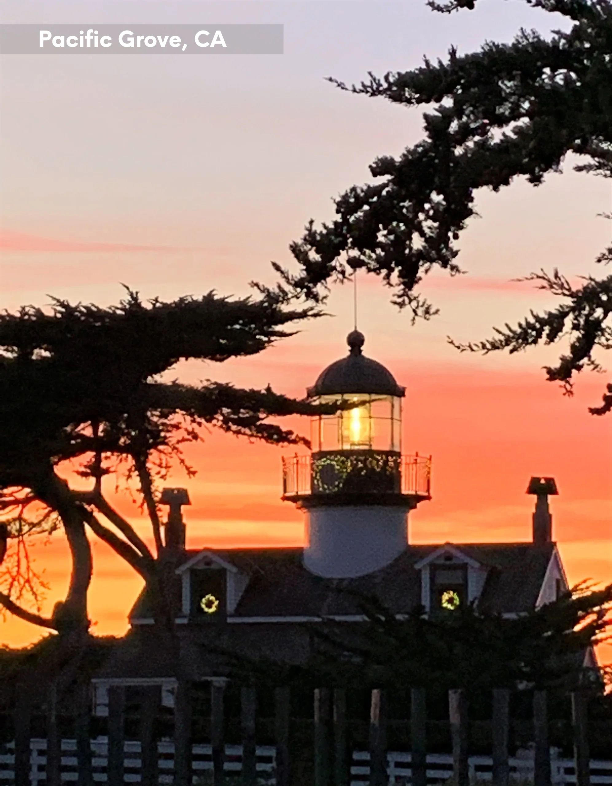 Pacific Grove Lives - Home