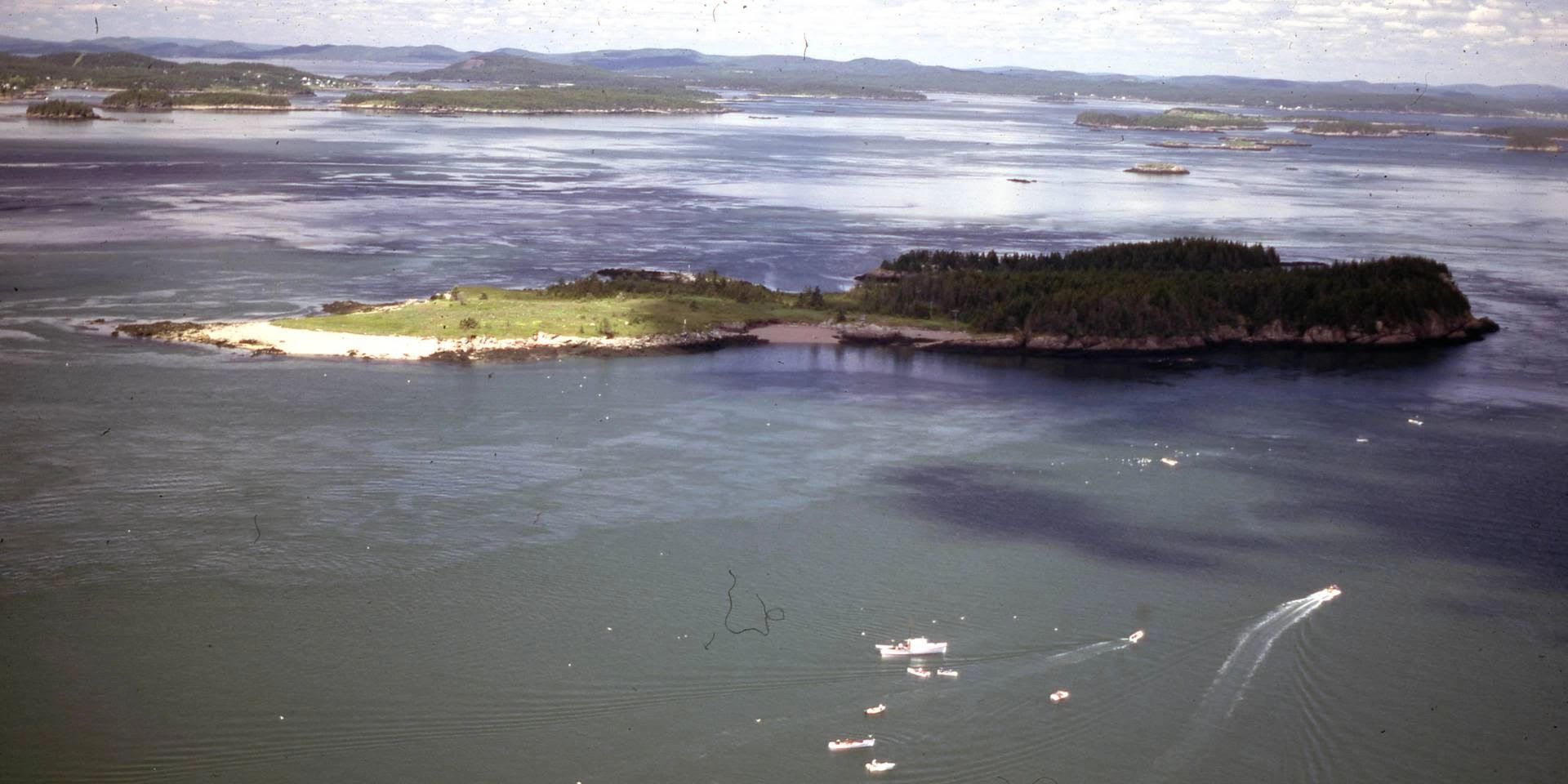 The Song of The Old Sow