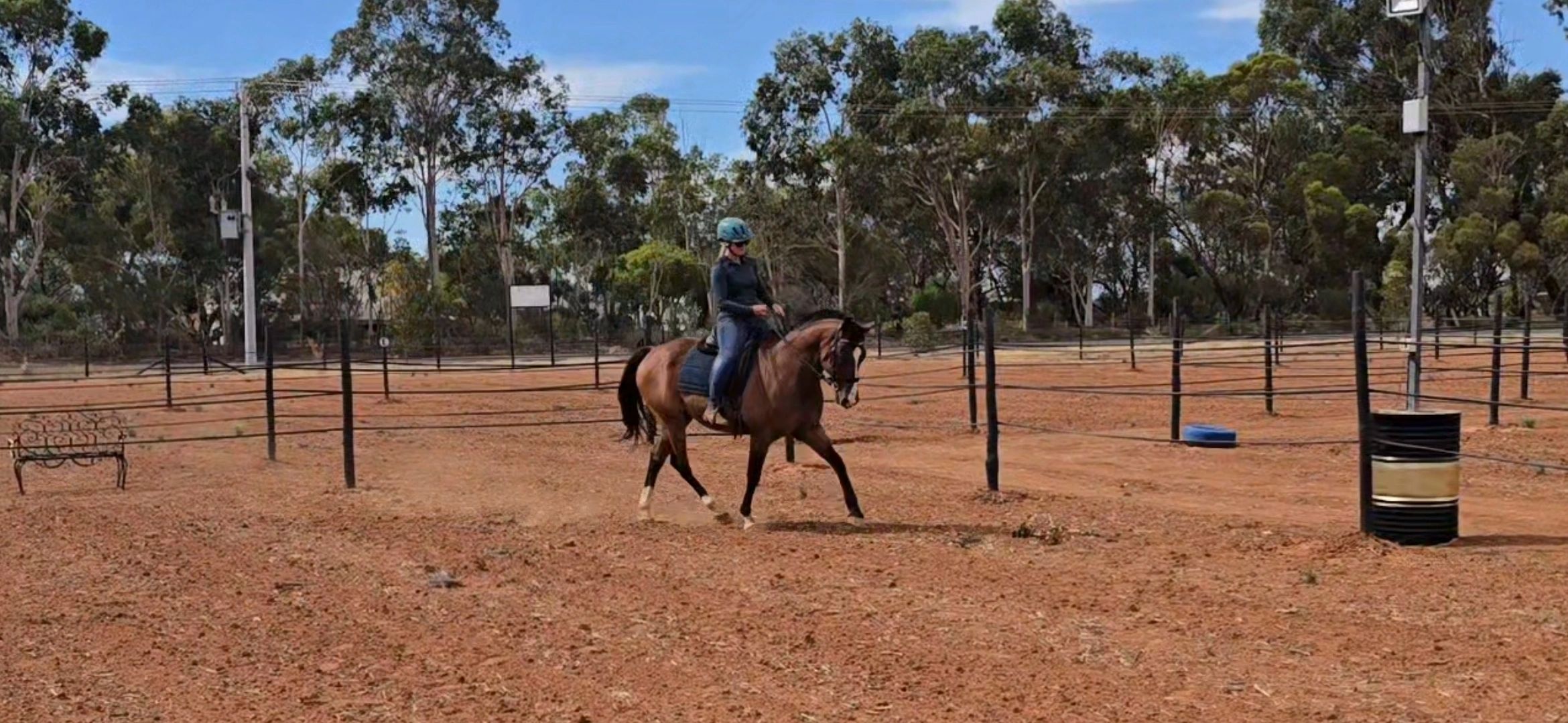Horse Riding Lessons for Adults - Join Us Today
