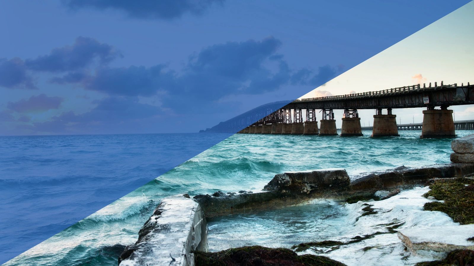 Wade Anderson Design