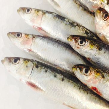 Mersea Island - Mersea Island Fish