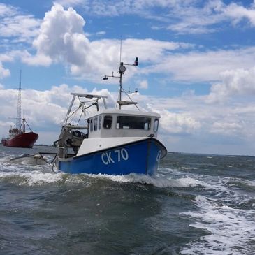 Mersea Island - Mersea Island Fish