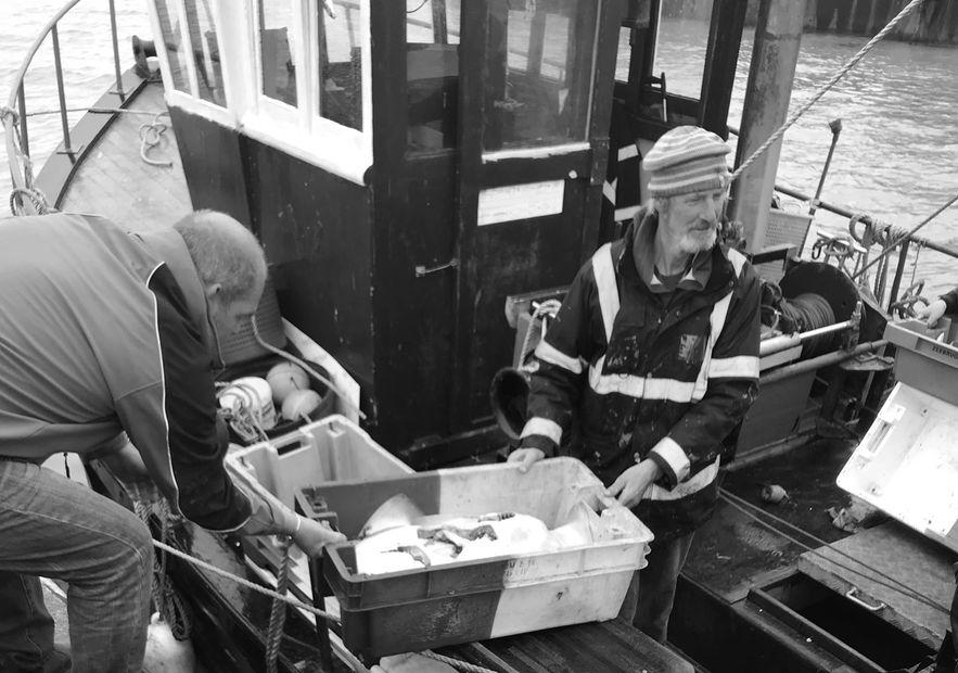 Mersea Island Fish - Fresh Fish, Mersea Island, Fish | Mersea Island Fish